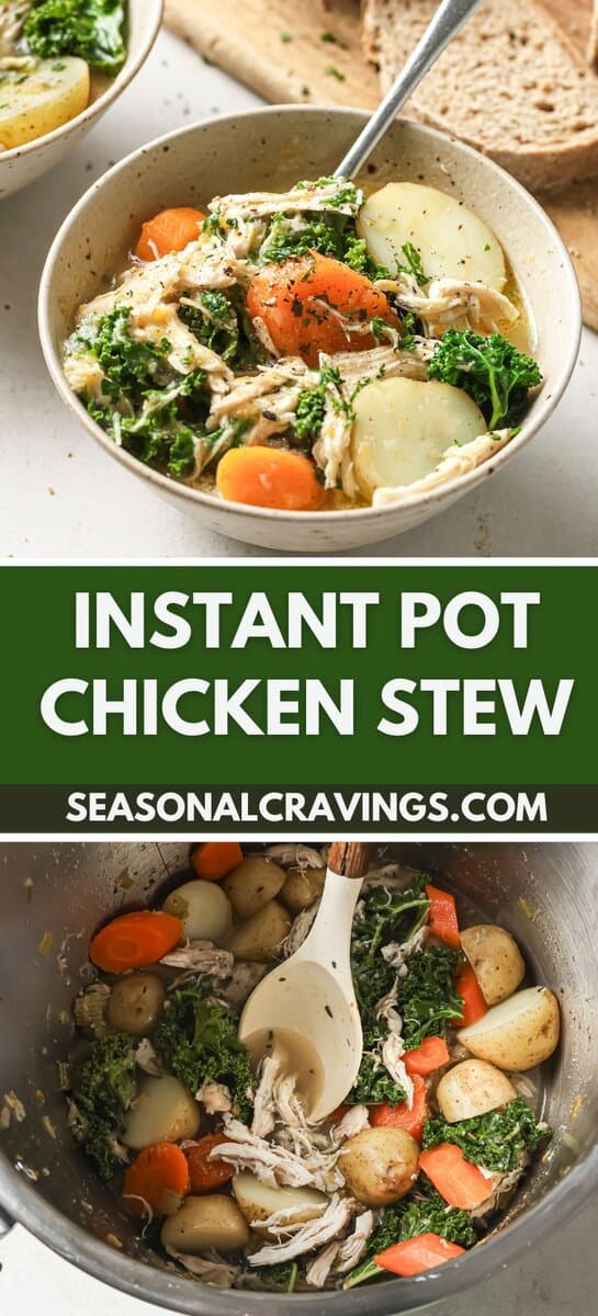 Instant Pot Chicken Stew - Seasonal Cravings